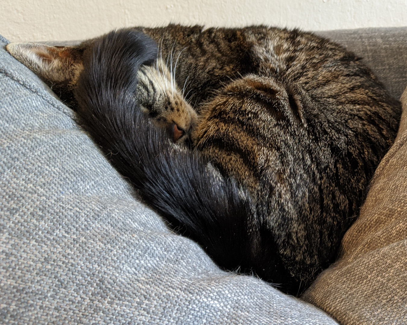 On the Front Lines with News Producer Kate Eby - mDash